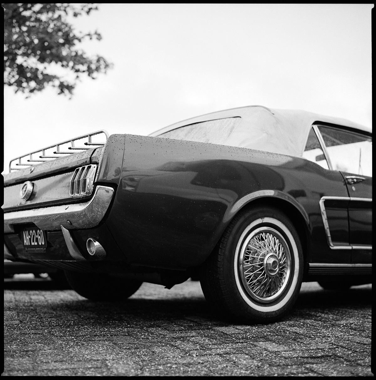 Mustang SS – FRANK ELEVELD
